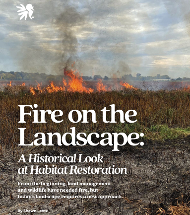 Fire on the Landscape